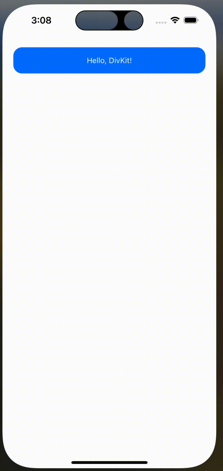 Instructions for iOS | DivKit